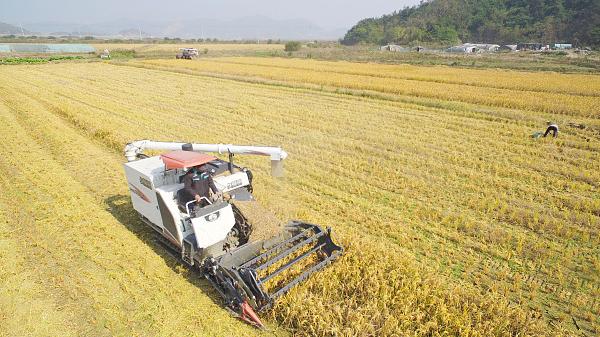 Live Radio, Shows & Podcasts | CGTN Radio