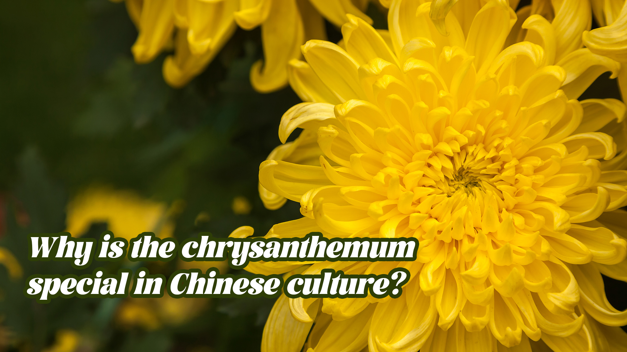 Live Radio, Shows & Podcasts | CGTN Radio