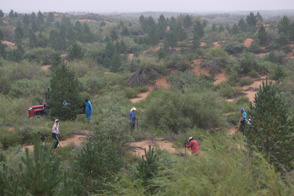 Live Radio, Shows & Podcasts | CGTN Radio