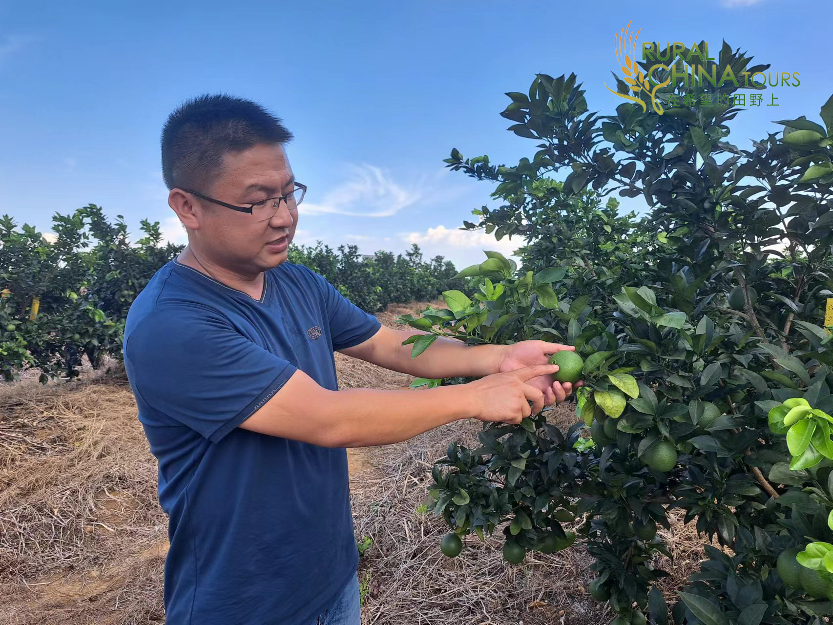 Live Radio, Shows & Podcasts | CGTN Radio