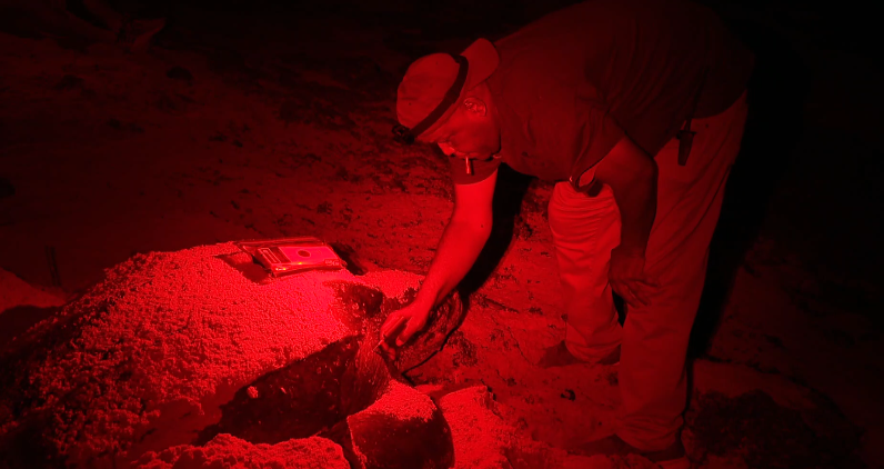 Live Radio Shows And Podcasts Cgtn Radio